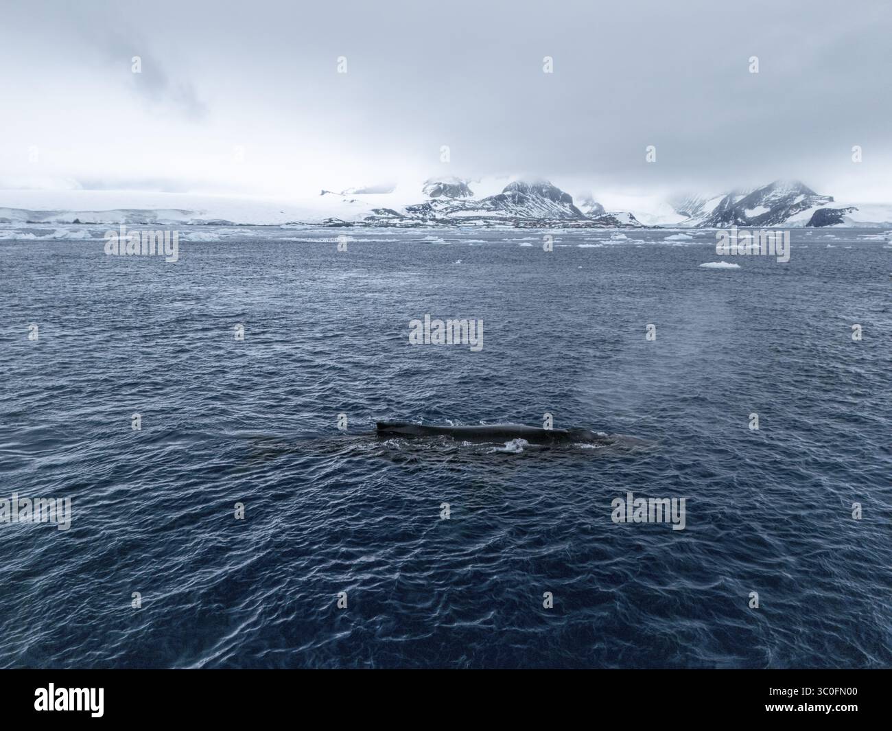 Aerial view of a dark, submerged object contrasting against the ...