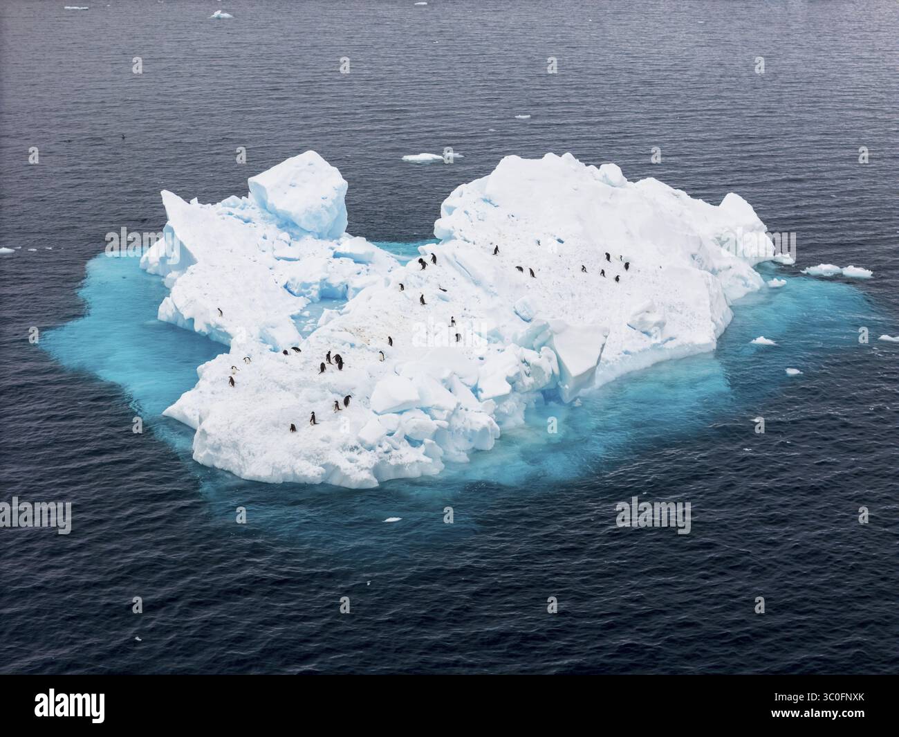 Aerial view of a pristine iceberg, its glacial white contrasting with ...