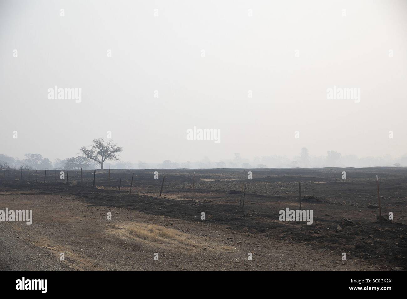 November 17, 2018 - Paradise, CA, United States of America - Fire ...