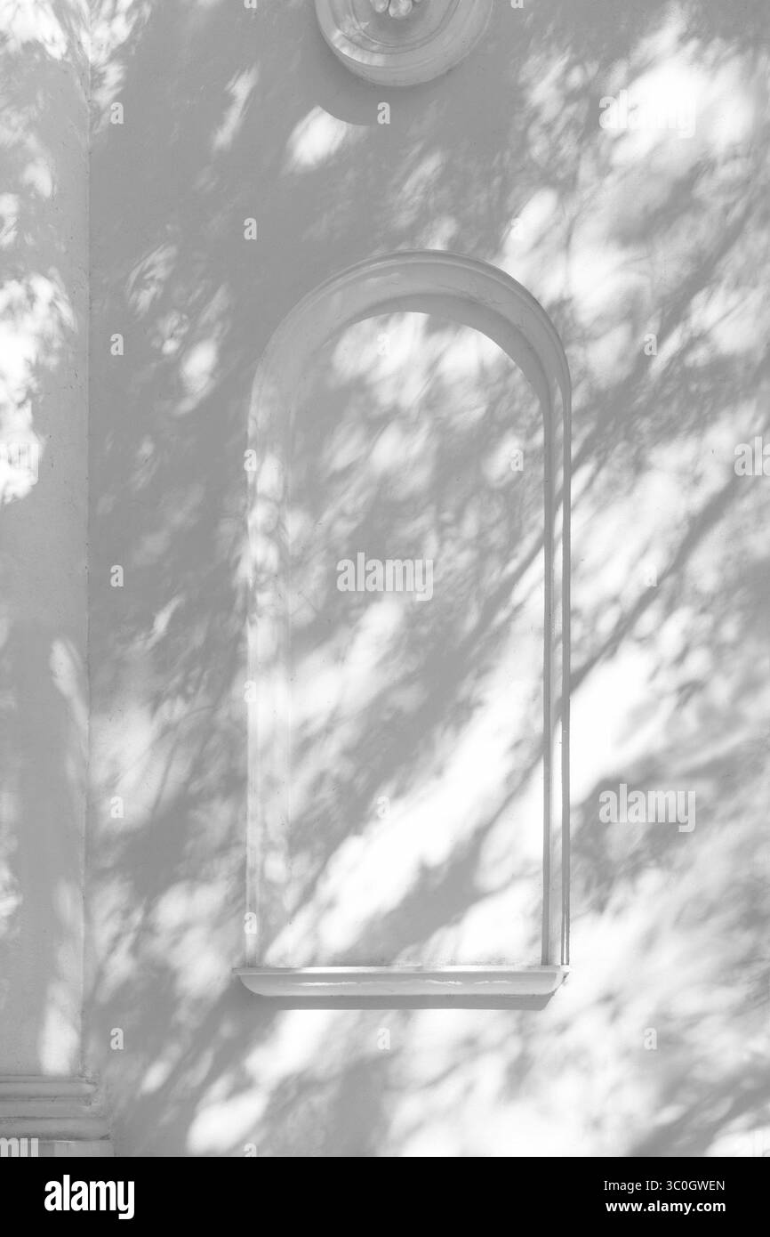 Niche in nature Black and White Stock Photos & Images - Alamy