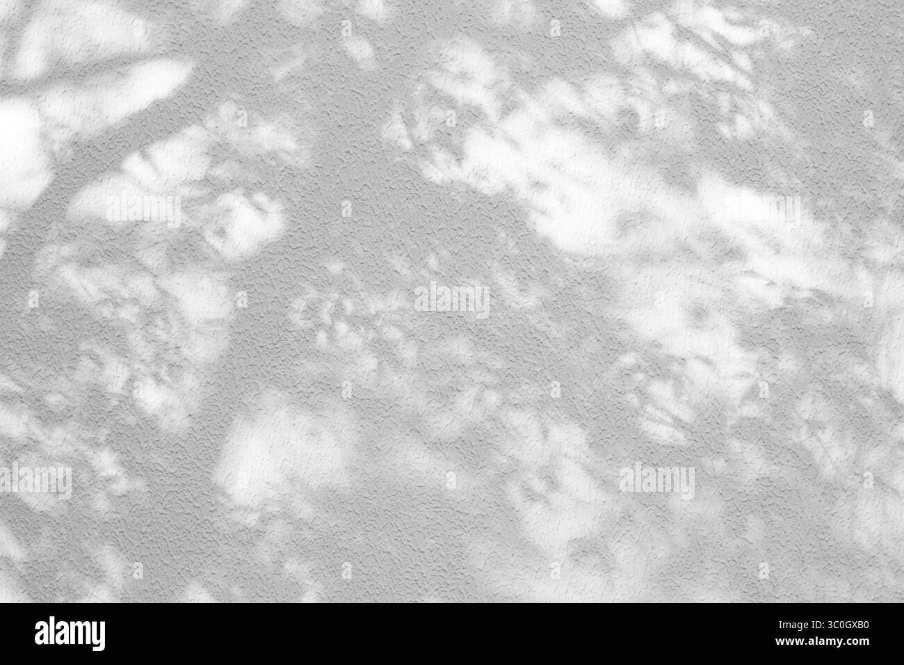 Sunlight and shadows on the wall from the branches of trees Stock Photo ...