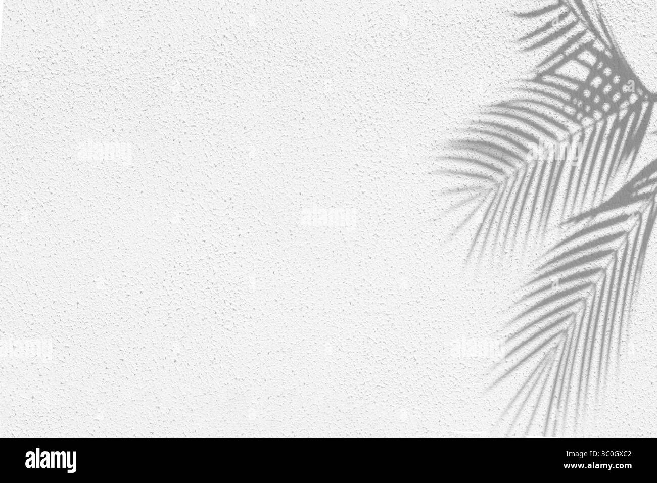 Background shadow from palm Black and White Stock Photos & Images - Alamy