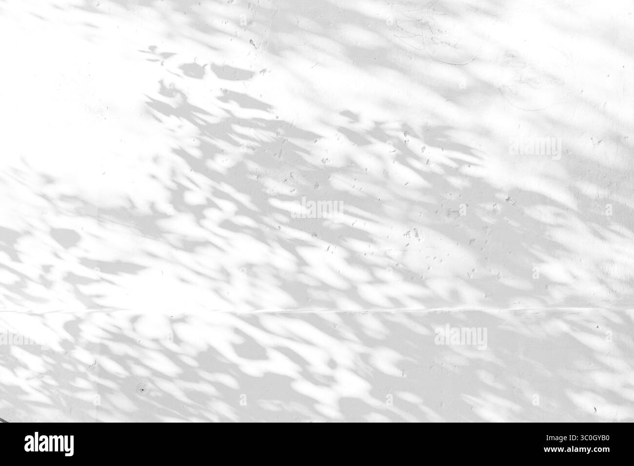 Gray shadow of natural leaves tree and tree trunk falling on white ...