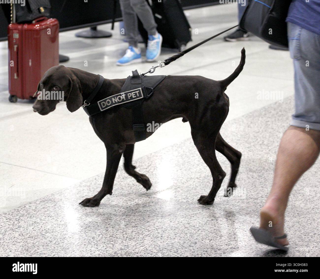 November 21, 2018 - Miami, FL, USA - TSA officer Cedric Belvin and ...