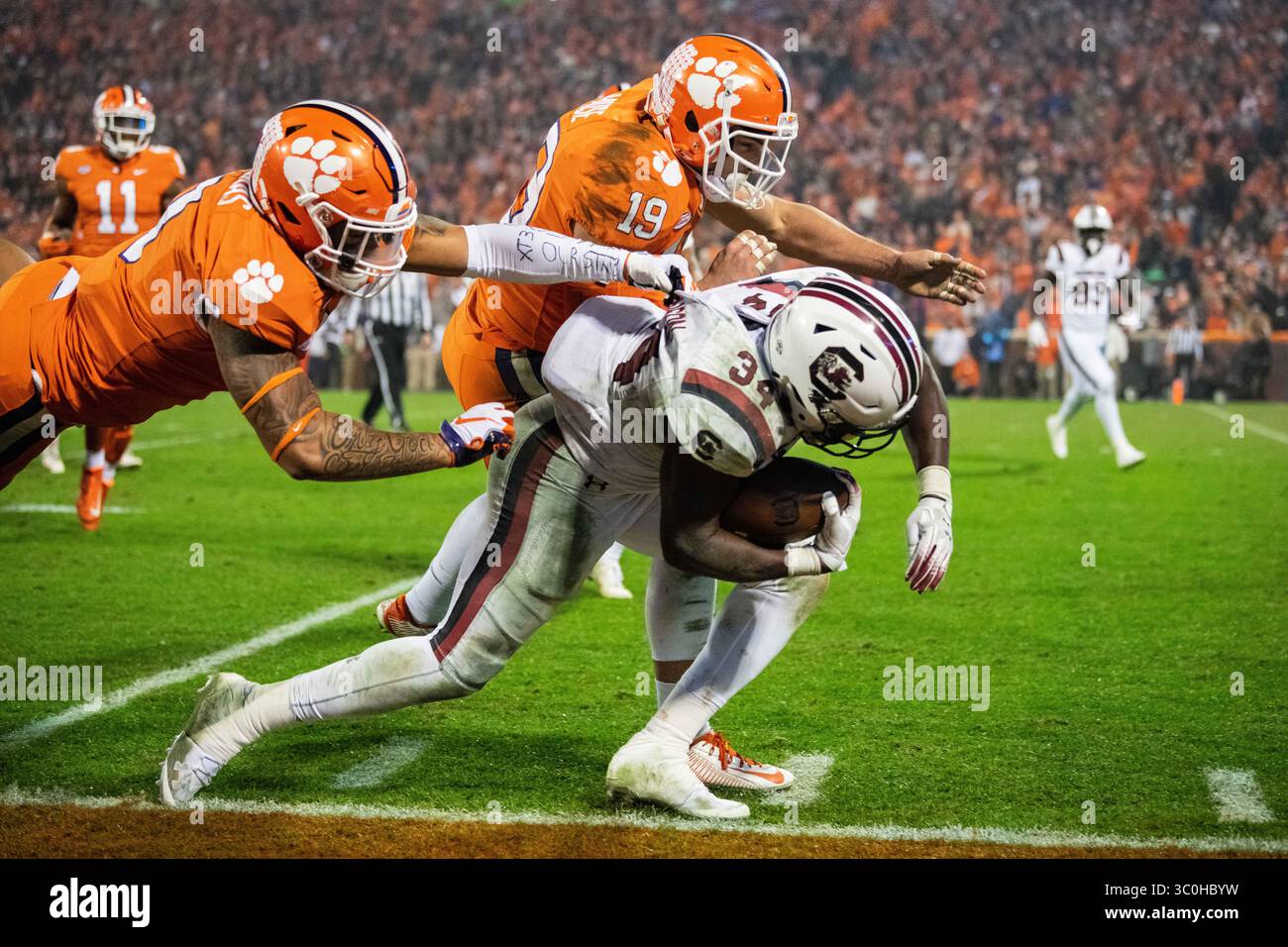 South Carolina Gamecocks running back Mon Denson (34) during the NCAA ...