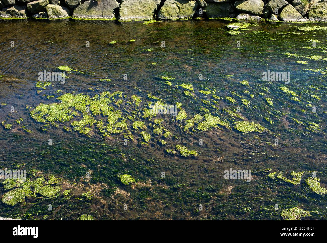 River Solva running into Solva Harbour in Pembrokeshire West Wales UK ...