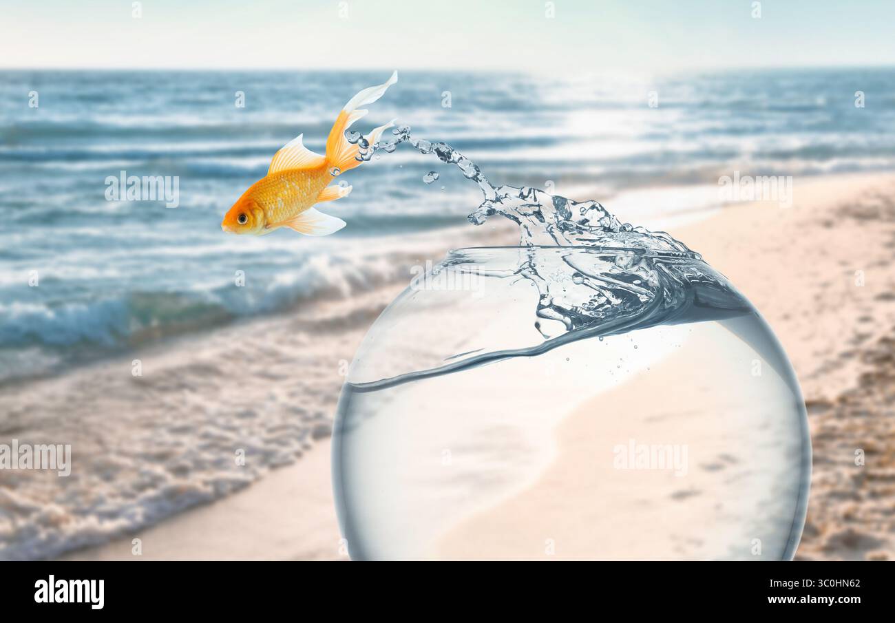 Goldfish jumping out of glass fish bowl into sea at beach Stock Photo ...