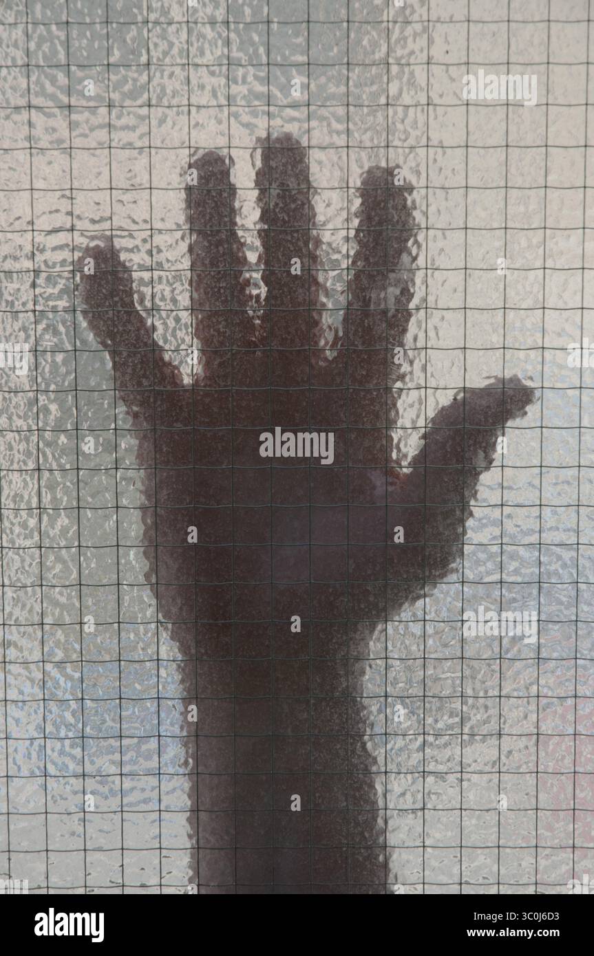 December 15, 2009 - New York, New York, U.S - Hand Behind Safety Glass ...