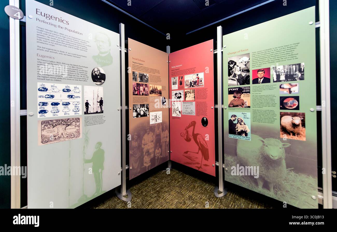 November 28, 2018 - Buffalo, New York, U.S. - The Museum of disABILITY ...