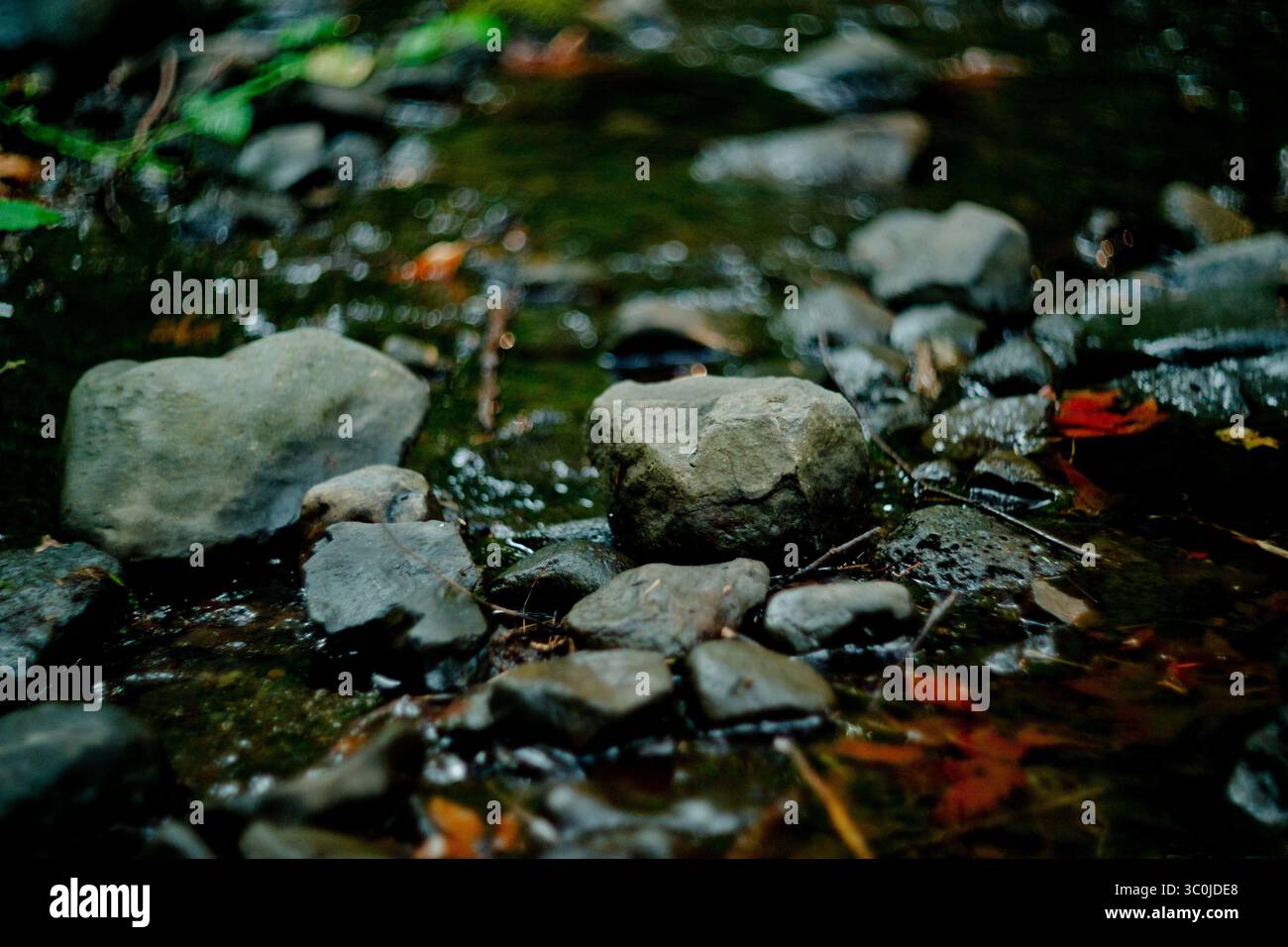 August 22, 2013 - New York, New York, U.S - Rocks in Stream, Close Up ...