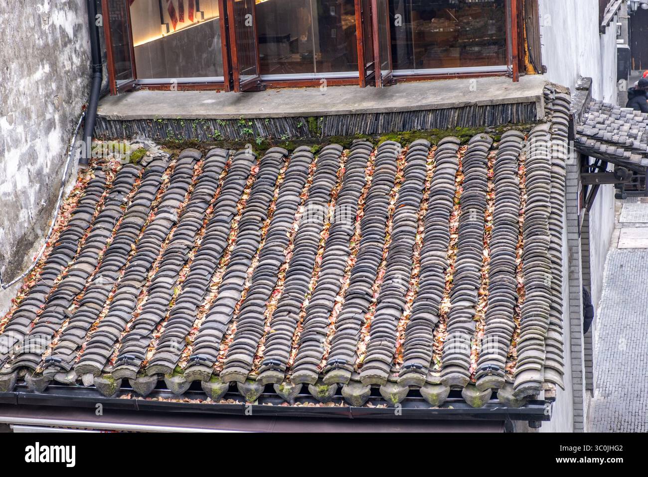 Traditional Chinese tiled roof filled with fallen autumn leaves and ...