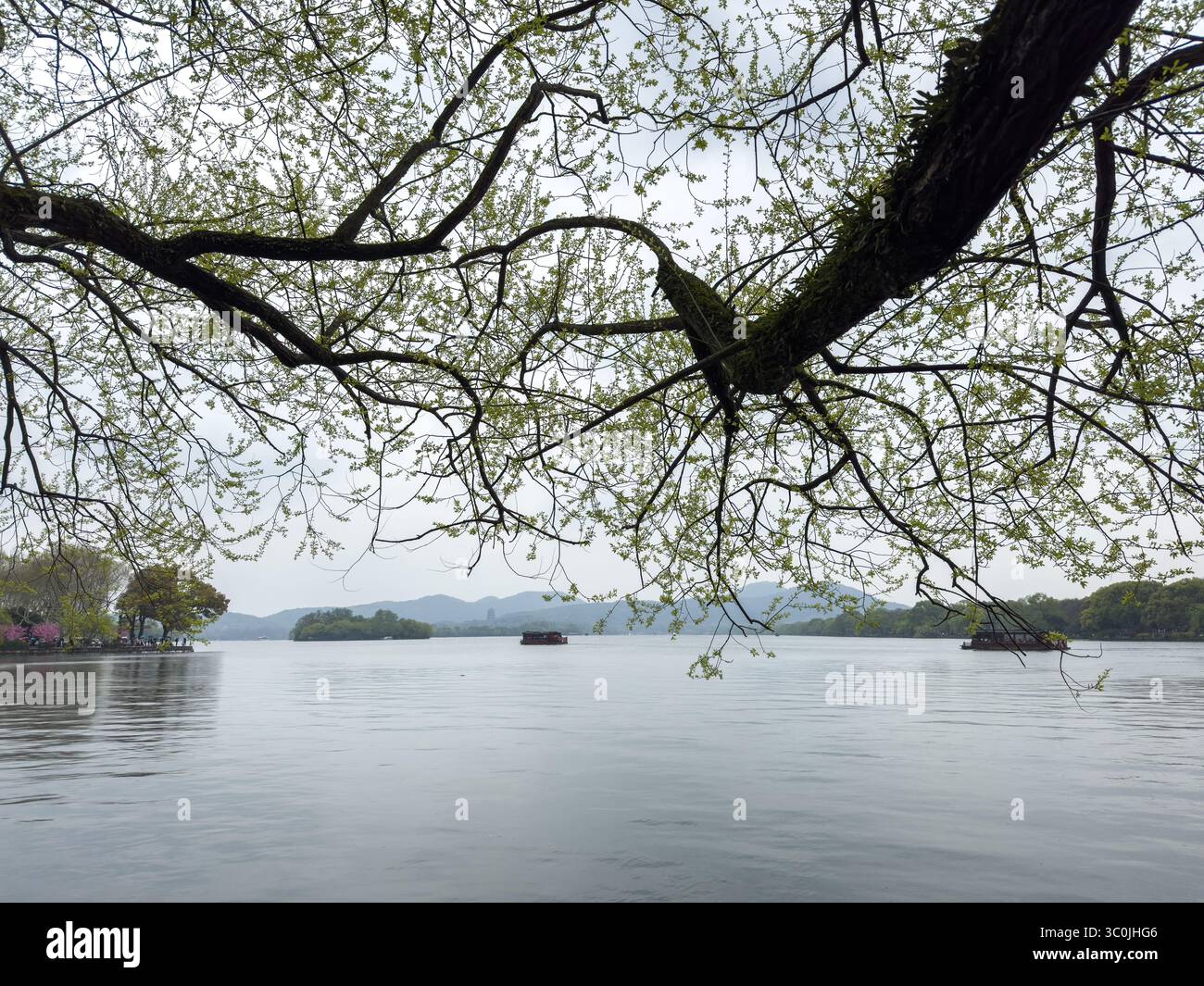 Traditional boats on West Lake calm water, Hangzhou, China. Fresh ...