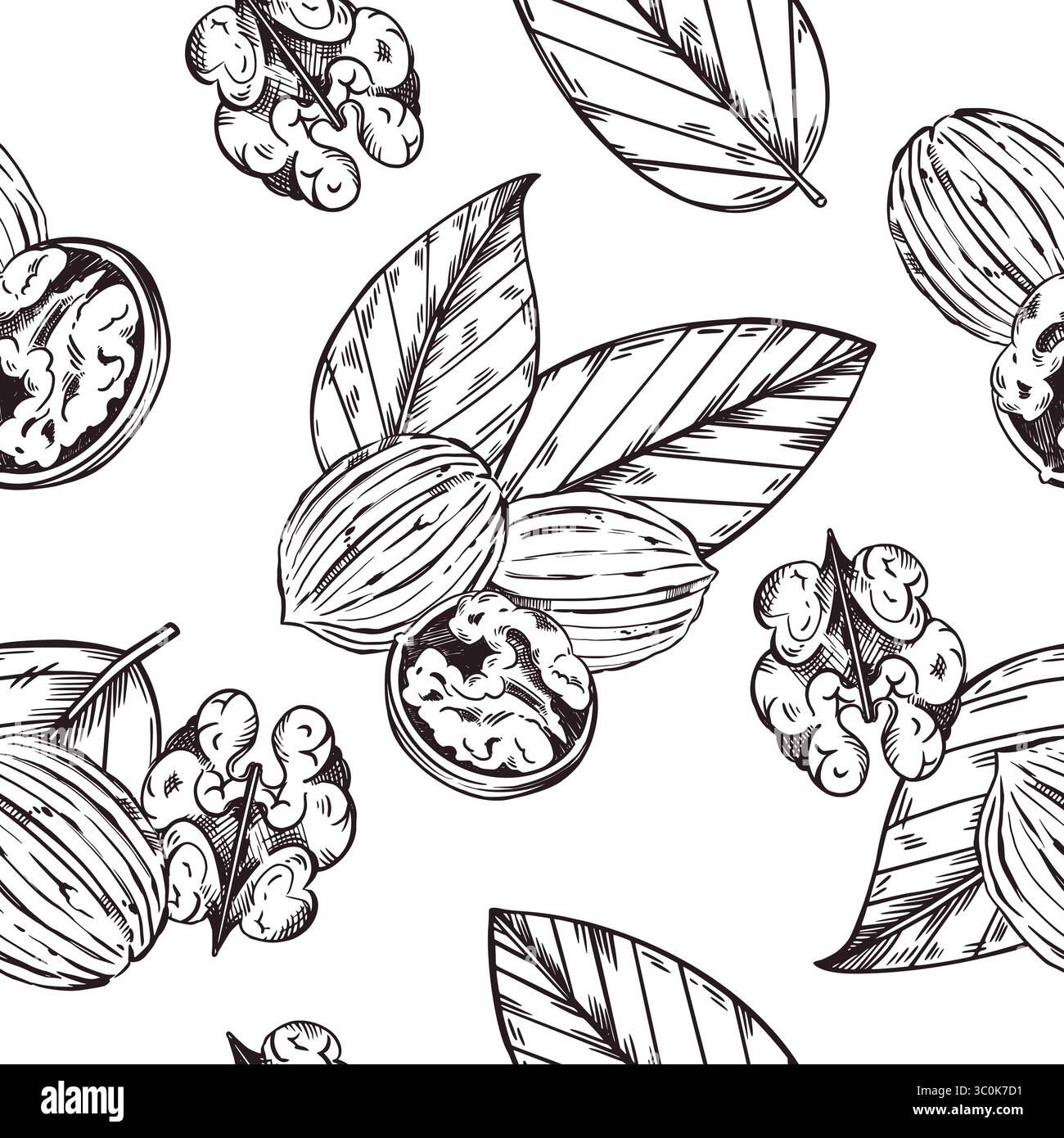 Nuts walnuts on background Stock Vector Images - Alamy