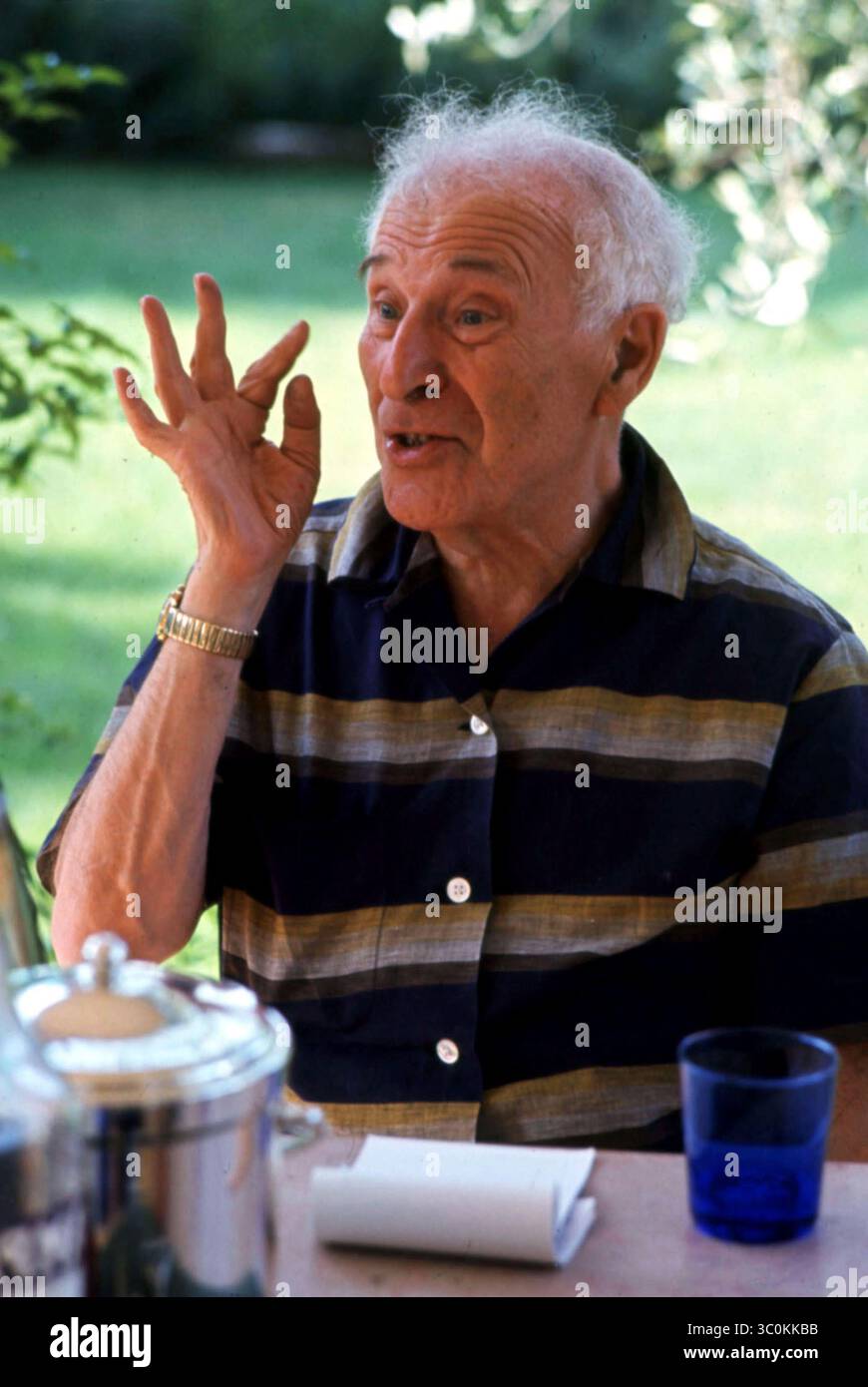 Portrait of the Russian painter Marc Chagall in his garden. Saint-Paul ...