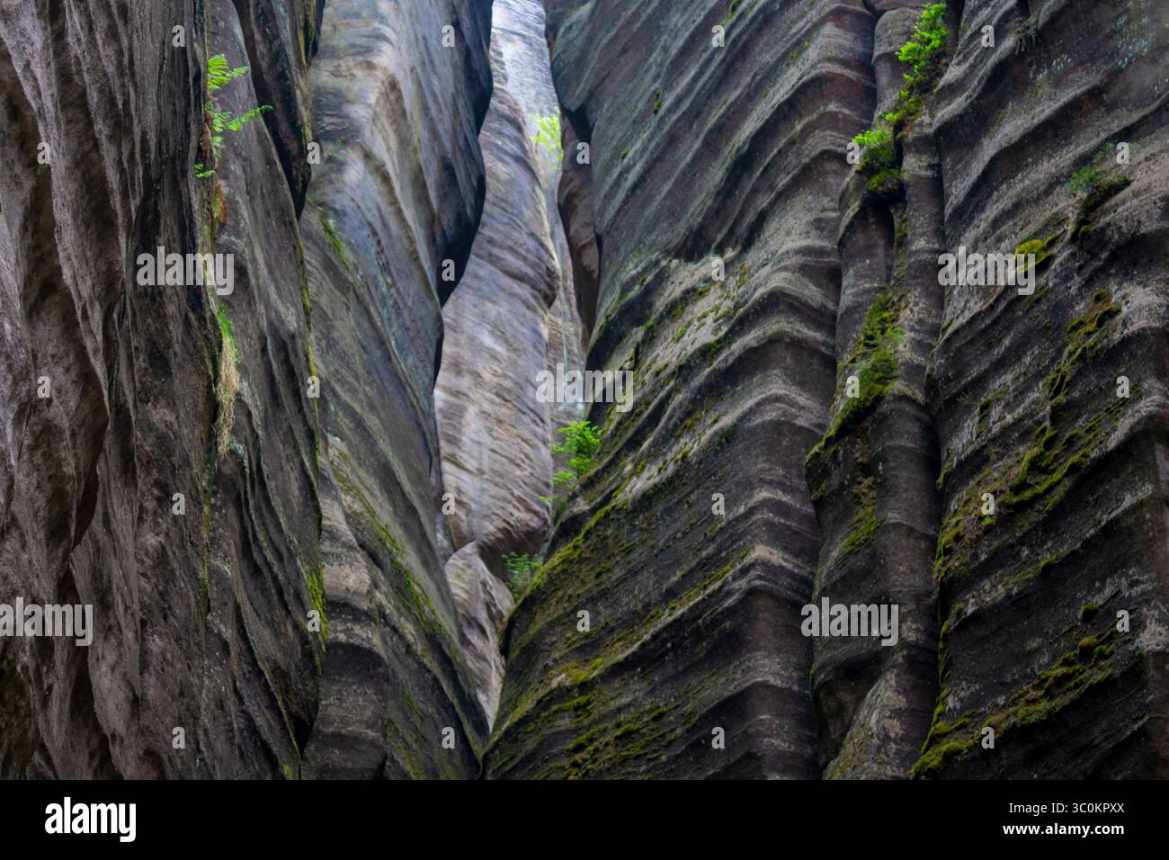 Adrspach Teplice Skaly Rocks natural rock formation towers in Czech ...