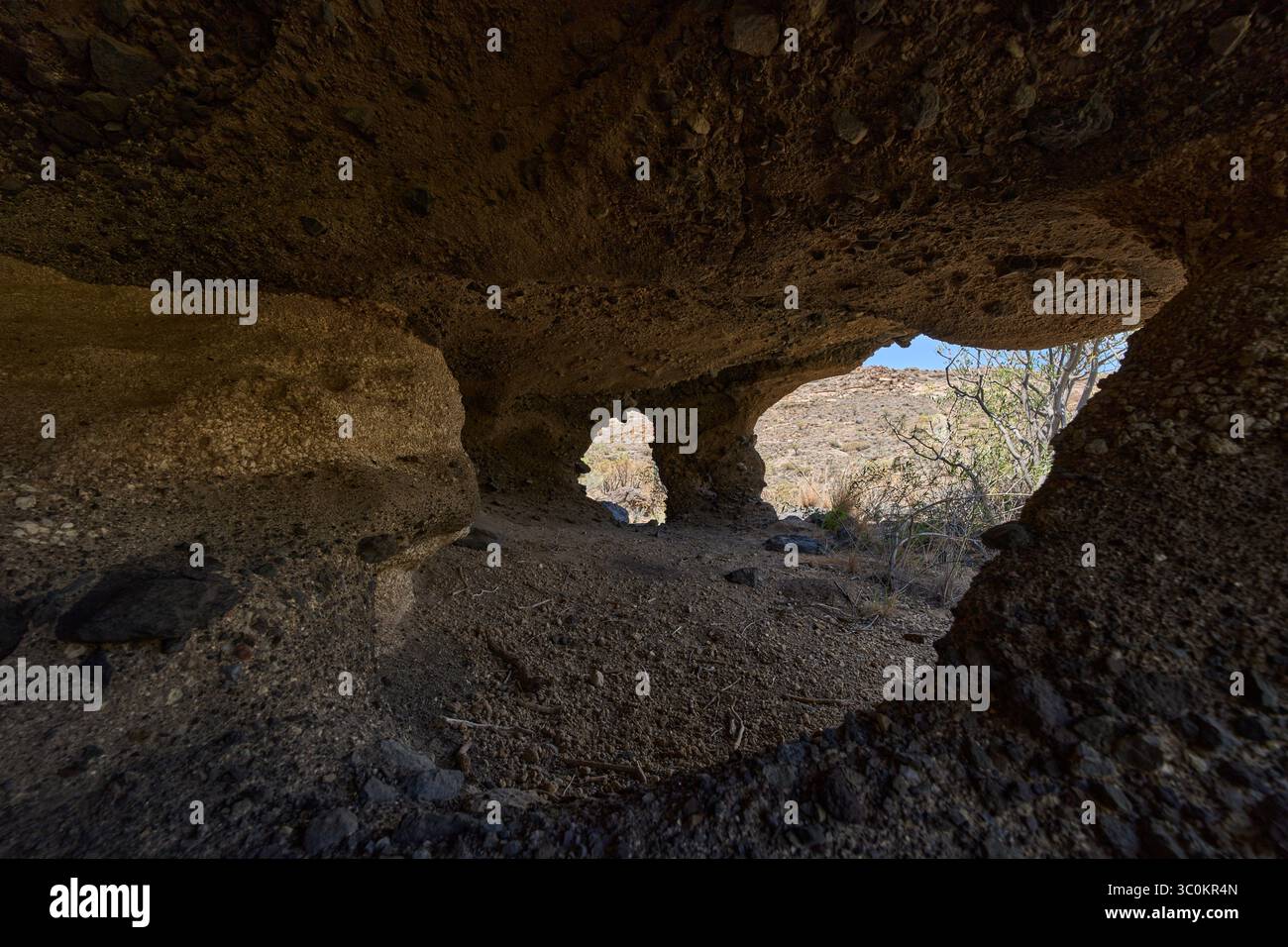 Interior of a volcanic cave with multiple eroded openings revealing ...