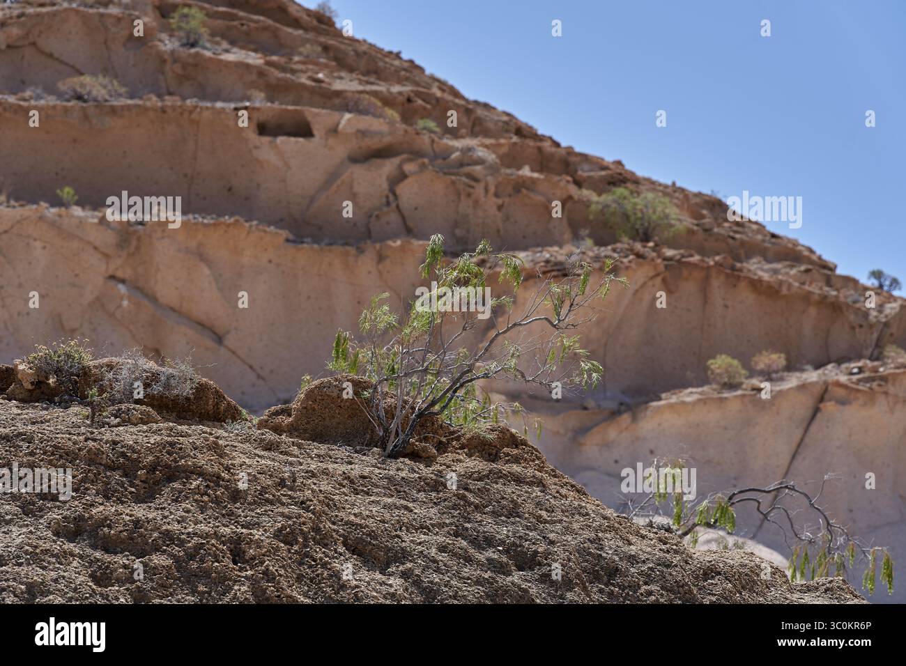 Rugged volcanic tuff ravines form a dramatic volcanic landscape at Los ...