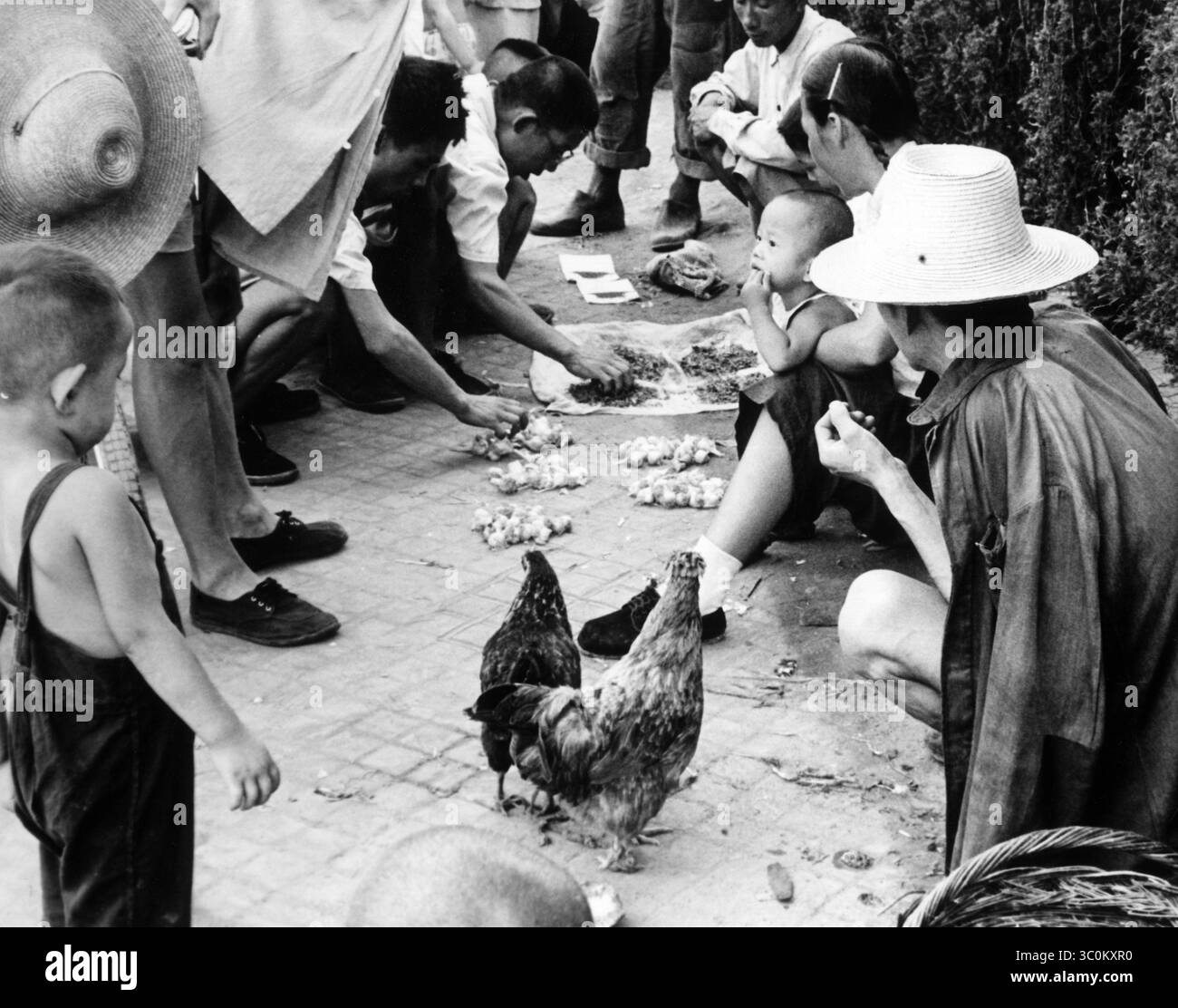 A Chinese hawker selling chickens, garlic and tobacco. China, 1960s ...