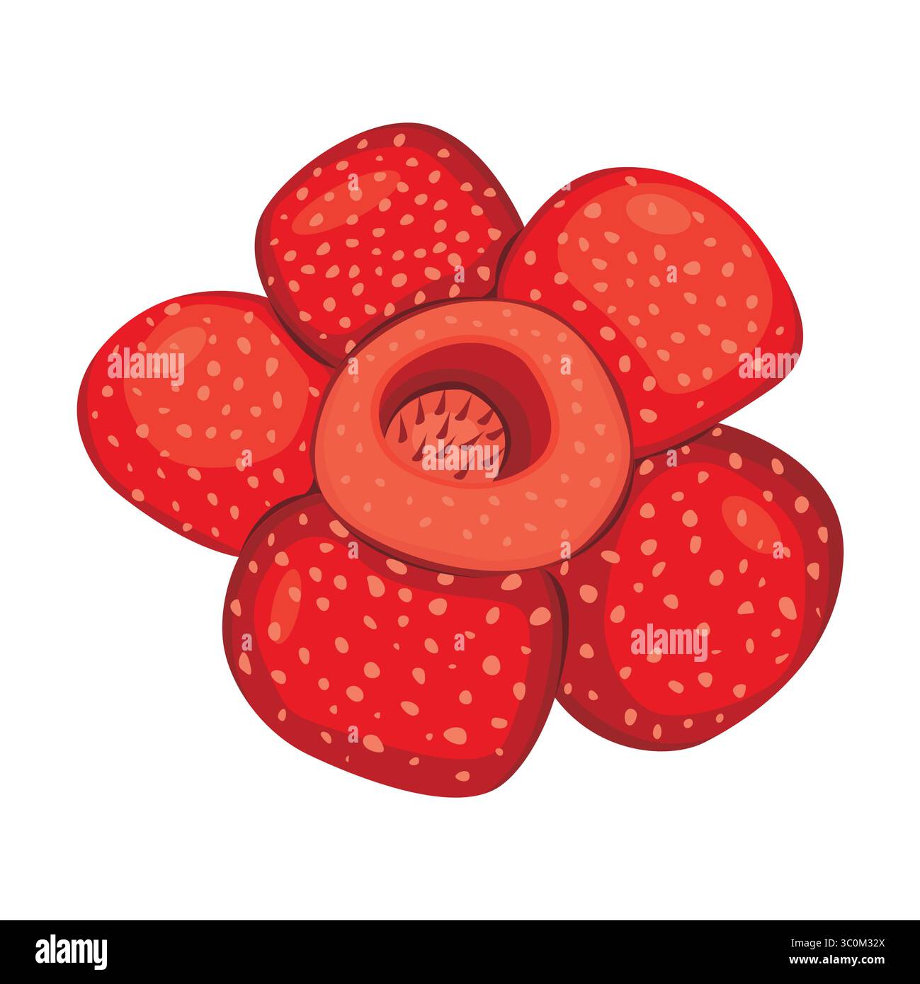 Vector illustration of Rafflesia Arnoldii. The biggest flower in the ...