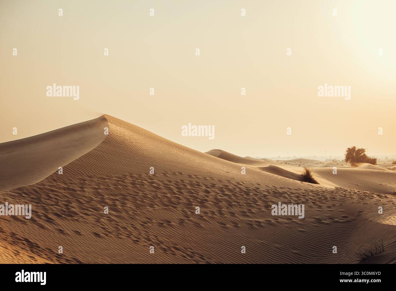 Views of the Dubai desert at sunset, footprints in the sand, with wind ...