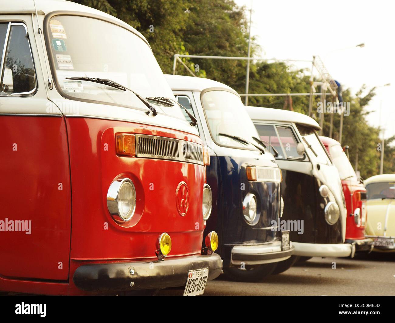 June 27, 2015 - Lima, Lima, Peru - Side view of a group of four ...