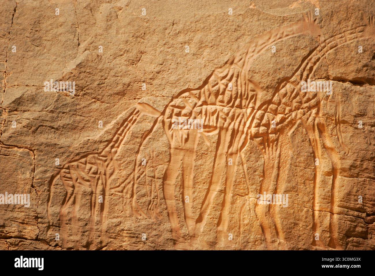 An etching depicting a giraffe family in the archeological site of Wadi ...