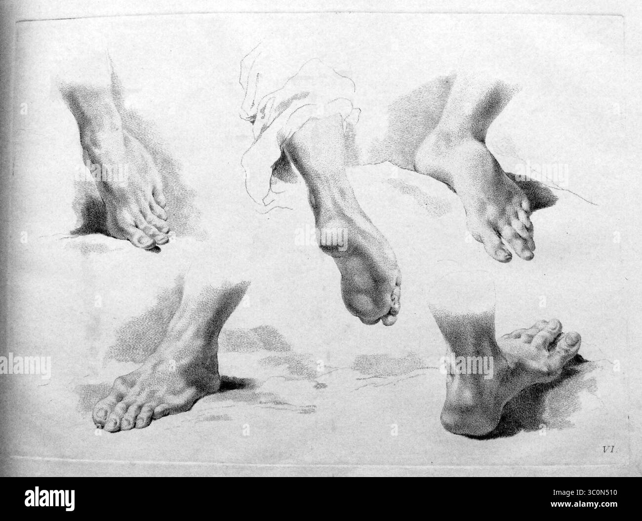 Marco Pitteri - Plate 6 Five studies of feet seen from various angles ...