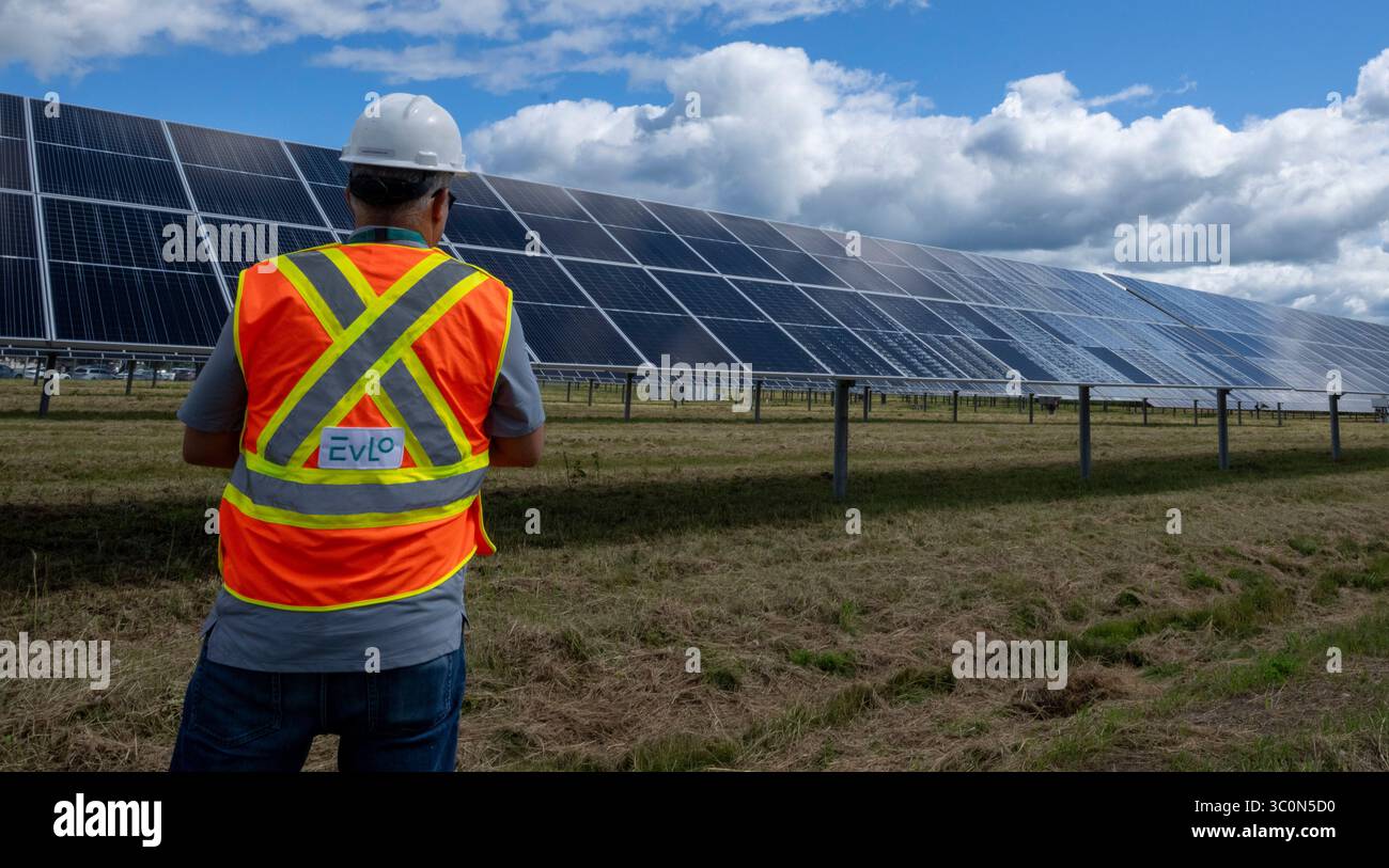 A Hydro Quebec employee looks over monofacial solar panels installed on ...