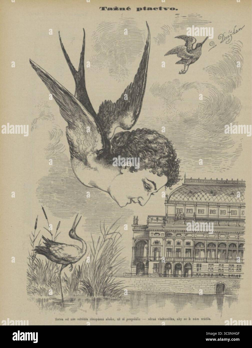 Maria Pospischil in Šípy in April 1895 Stock Photo - Alamy