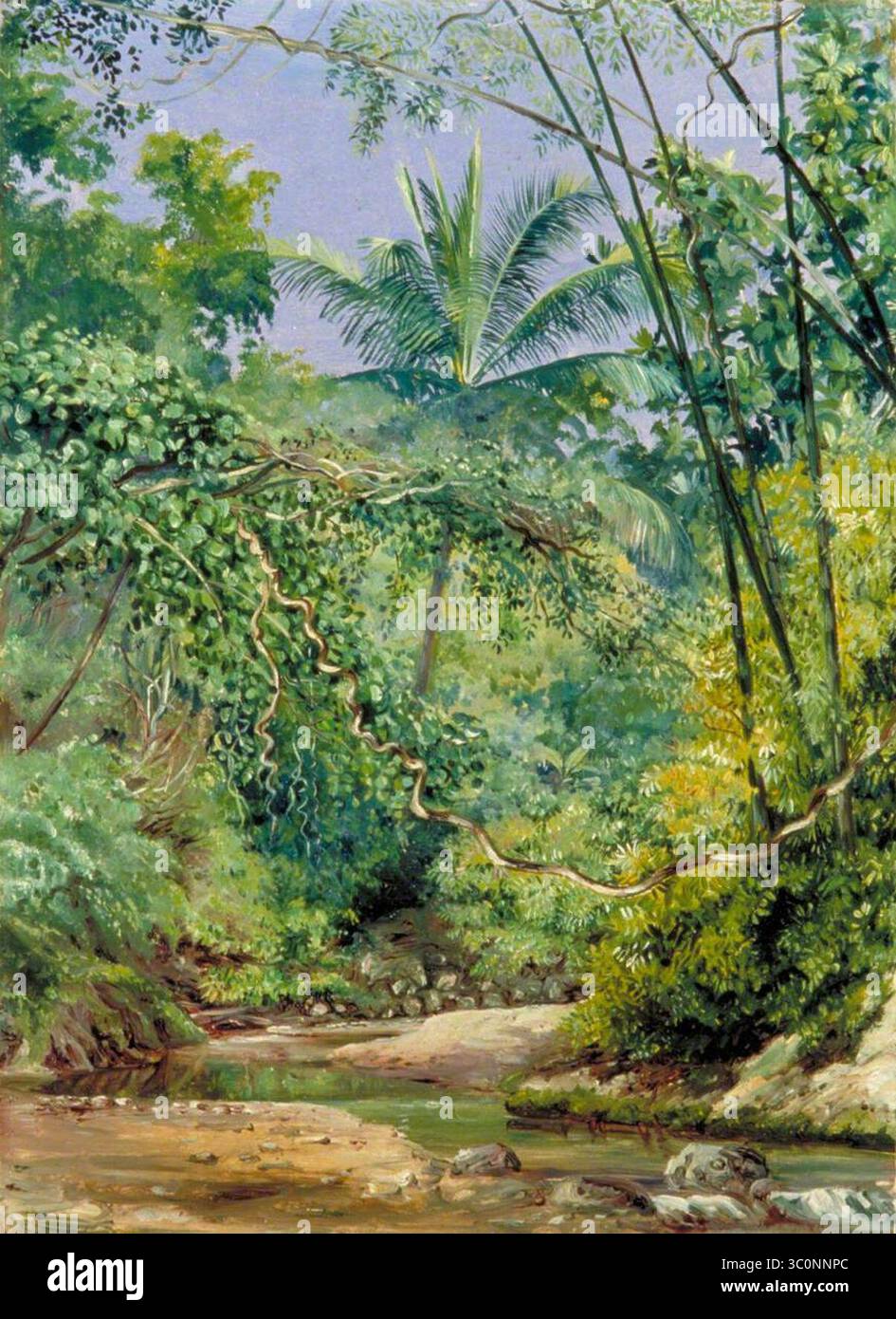 Marianne North (1830-1890) - Bamboos, Cocoa Nut Trees and Other ...