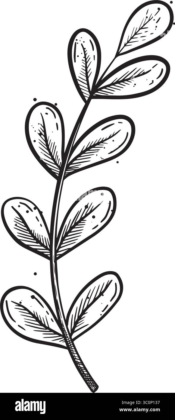 Intricate leafy designs Cut Out Stock Images & Pictures - Alamy