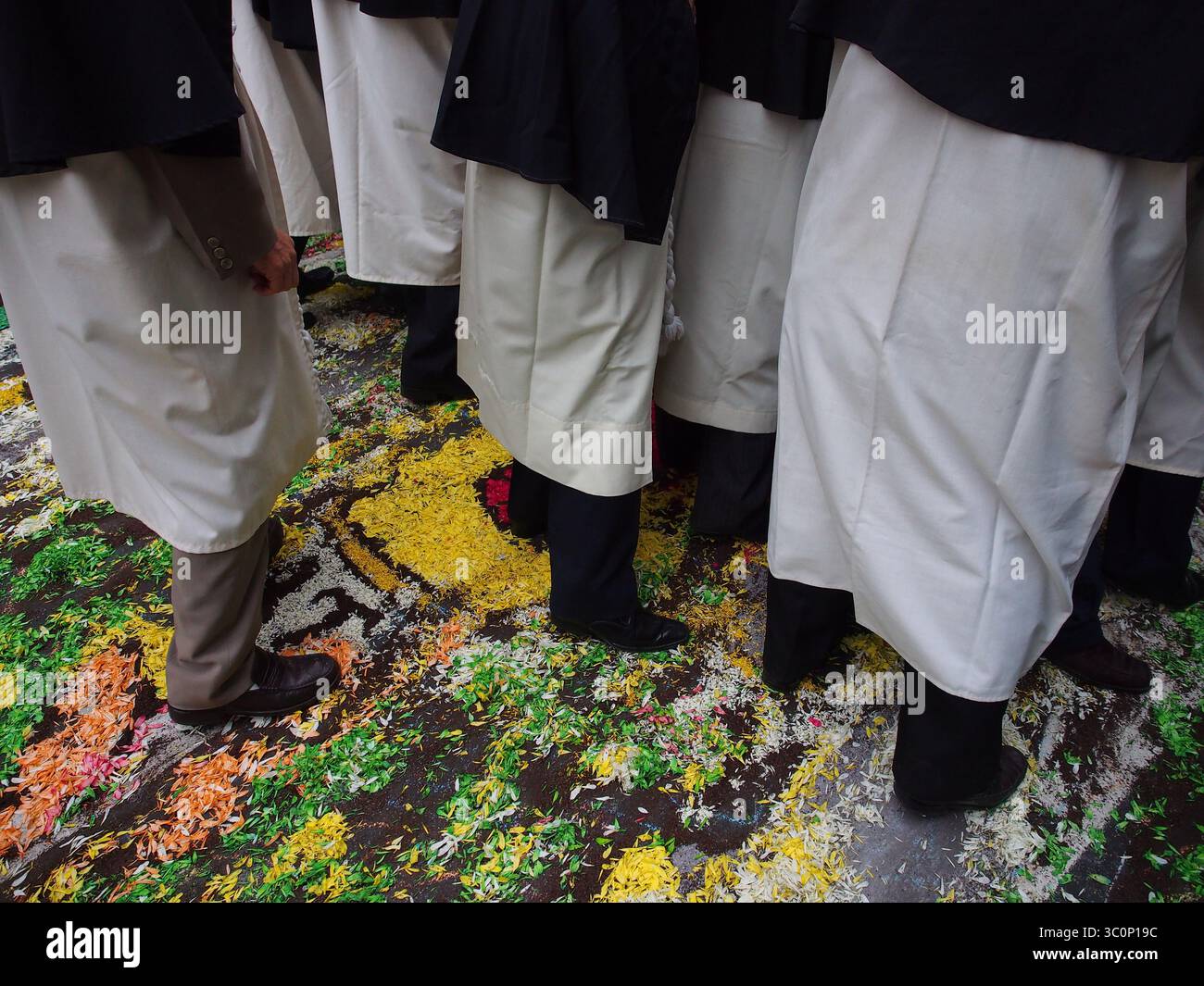 August 29, 2016 - Lima, Lima, Peru - Devotees walking over a flowers ...