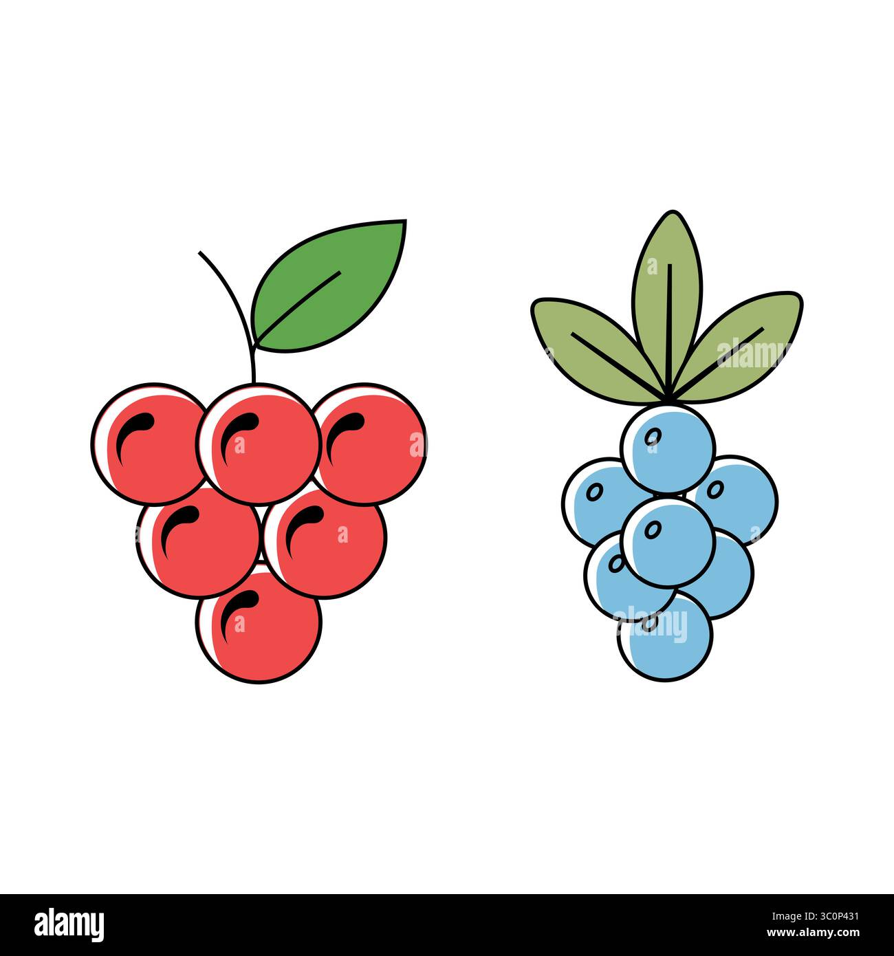 Red grapes icon. Blue grapes symbol. Fresh fruit Vector. Healthy food ...