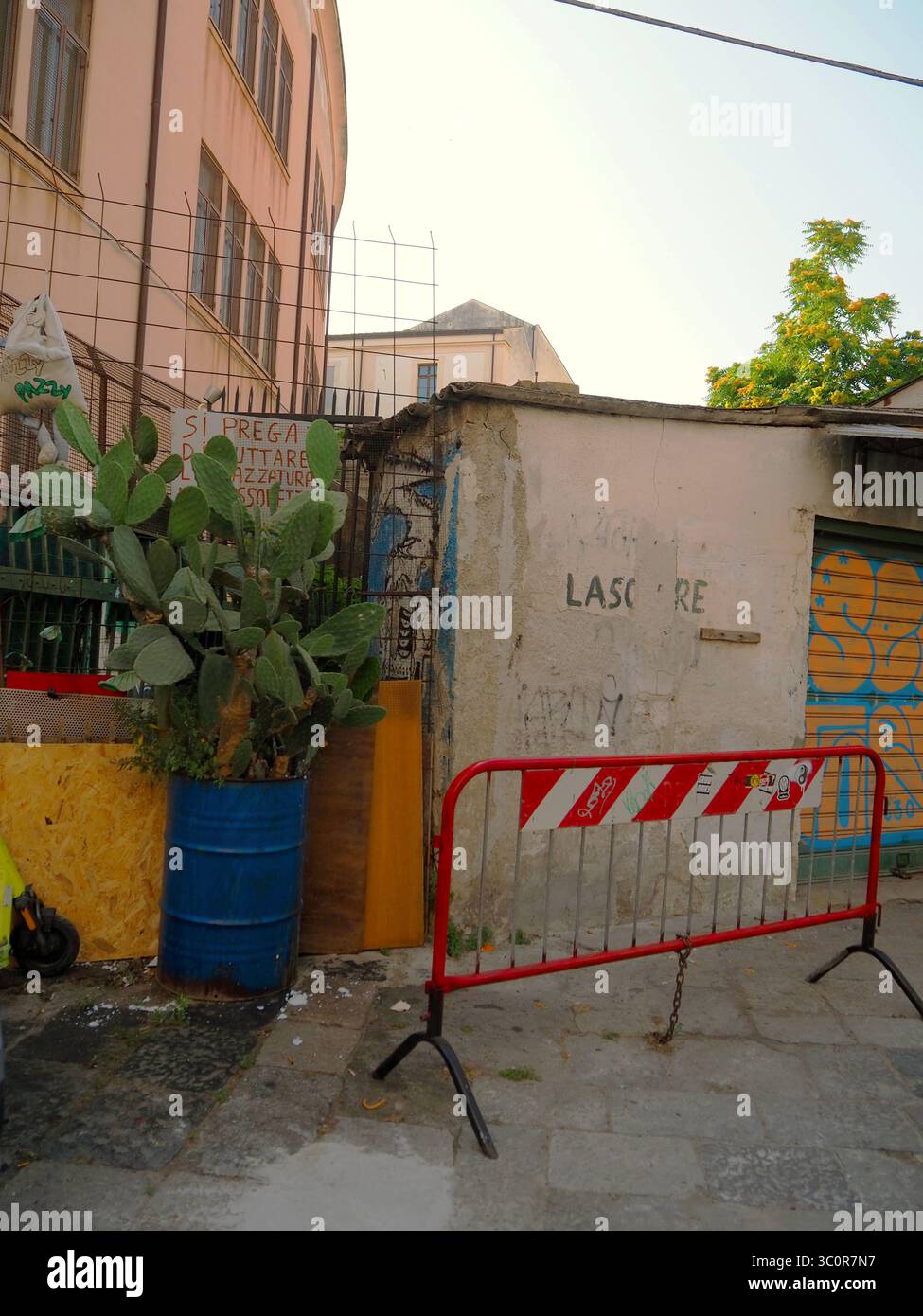 Urban cactus and gritty street view in Palermo, Sicily with barricade ...