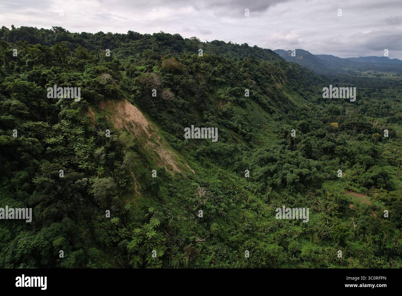 Landslides triggered by cyclones, heavy rainfall and earthquakes scar ...