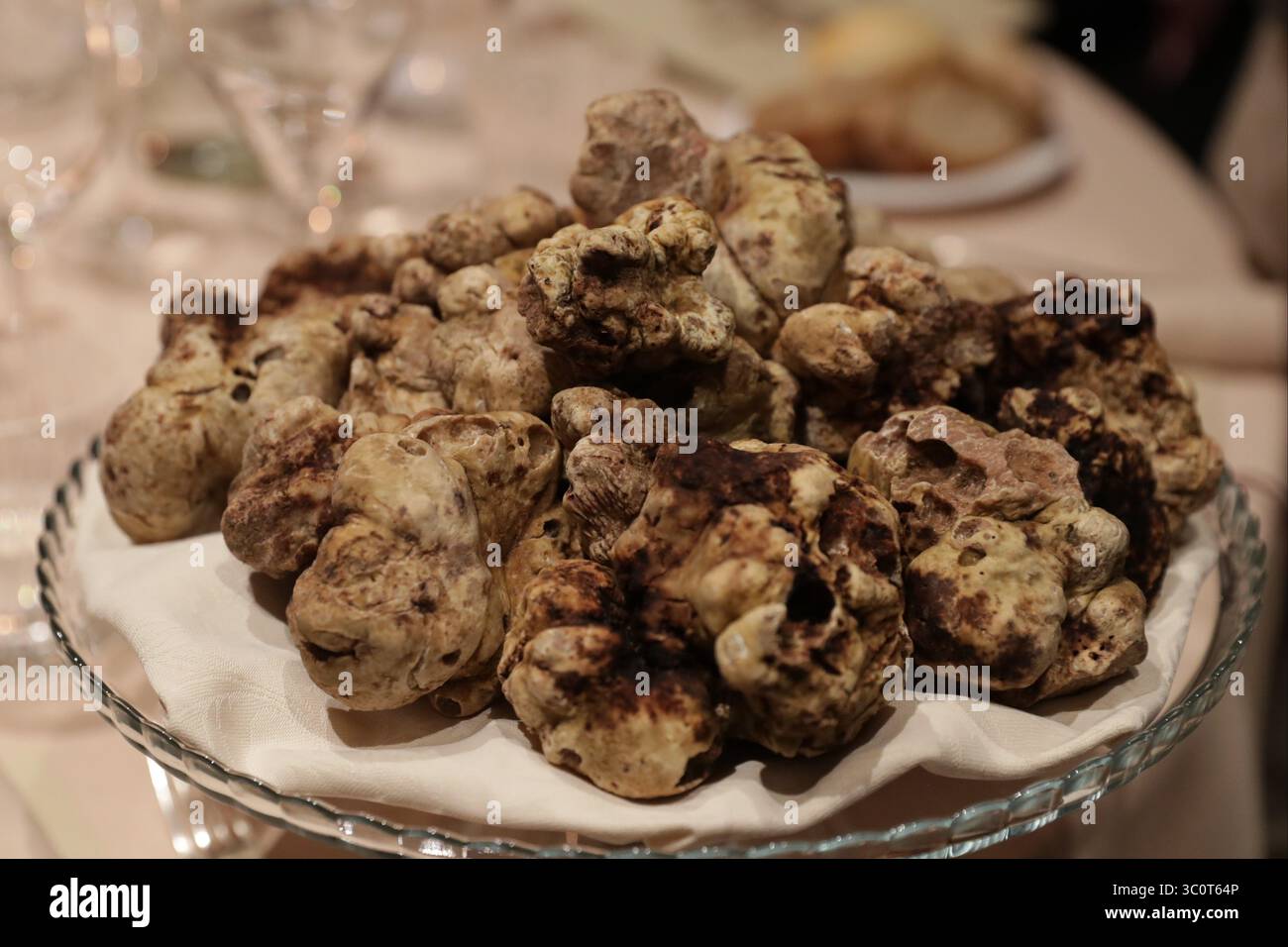 World alba white truffle auction hi-res stock photography and images ...