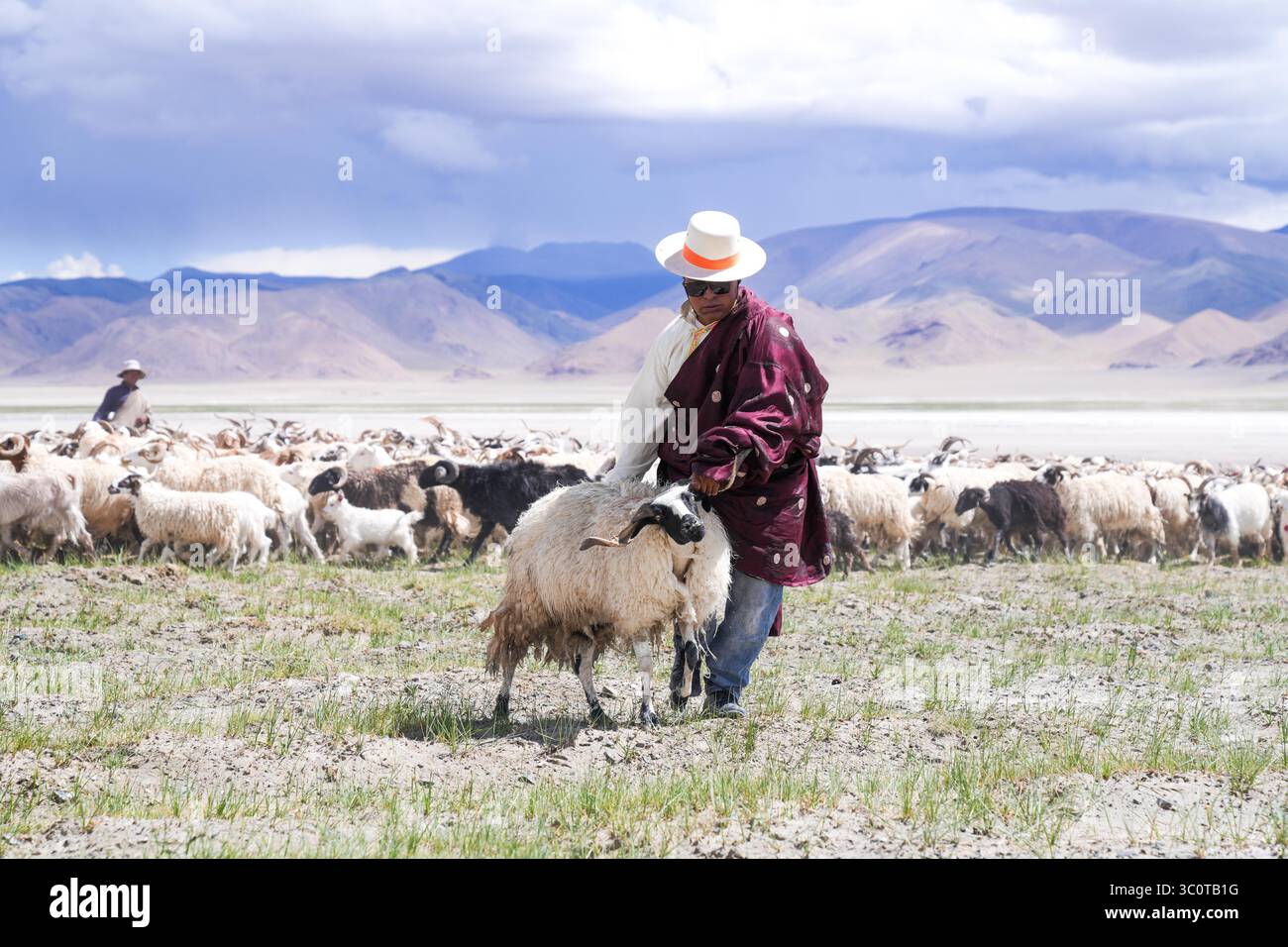 **CHINESE MAINLAND, HONG KONG, MACAU AND TAIWAN OUT** A herder pulls a ...
