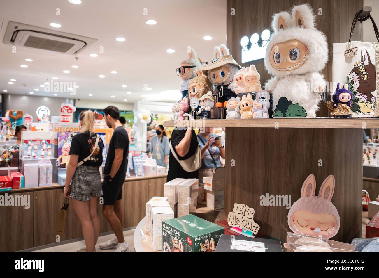 A playful lineup of Labubu figures sits neatly on the shelf, dressed in ...