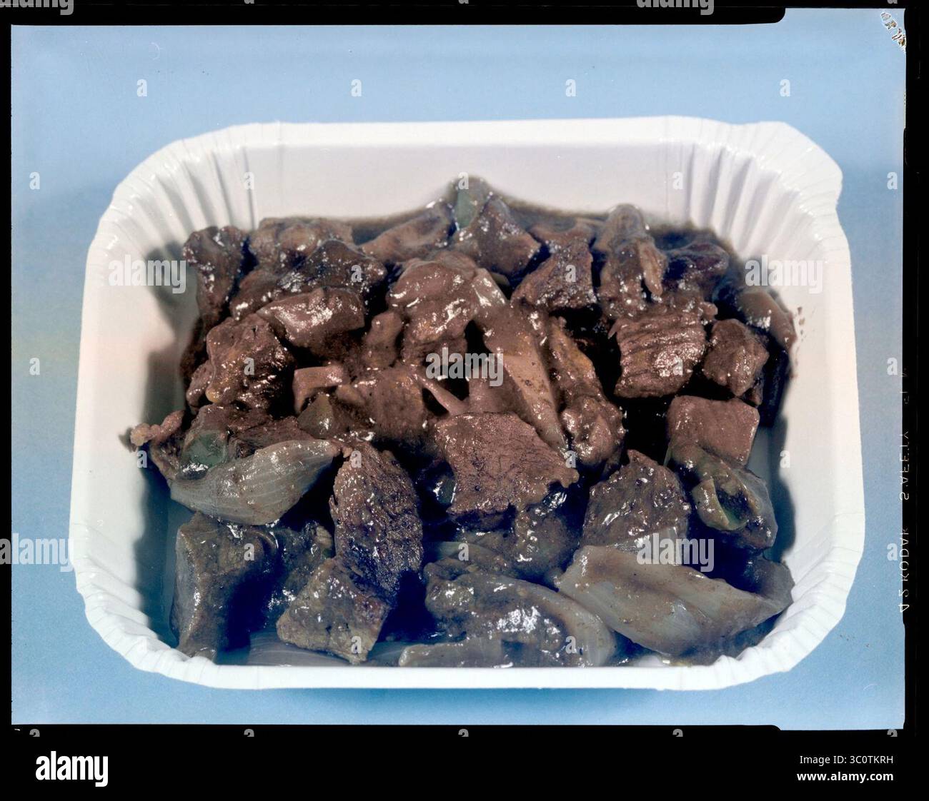 Meat, by the U.S. Army Natick Soldier Systems Center, 1977 Stock Photo ...