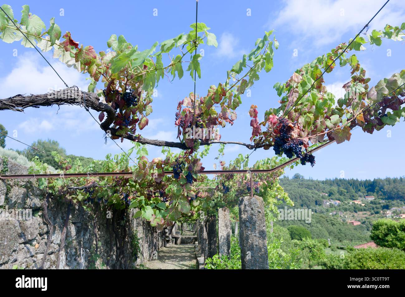 Agritourism portugal hi-res stock photography and images - Alamy