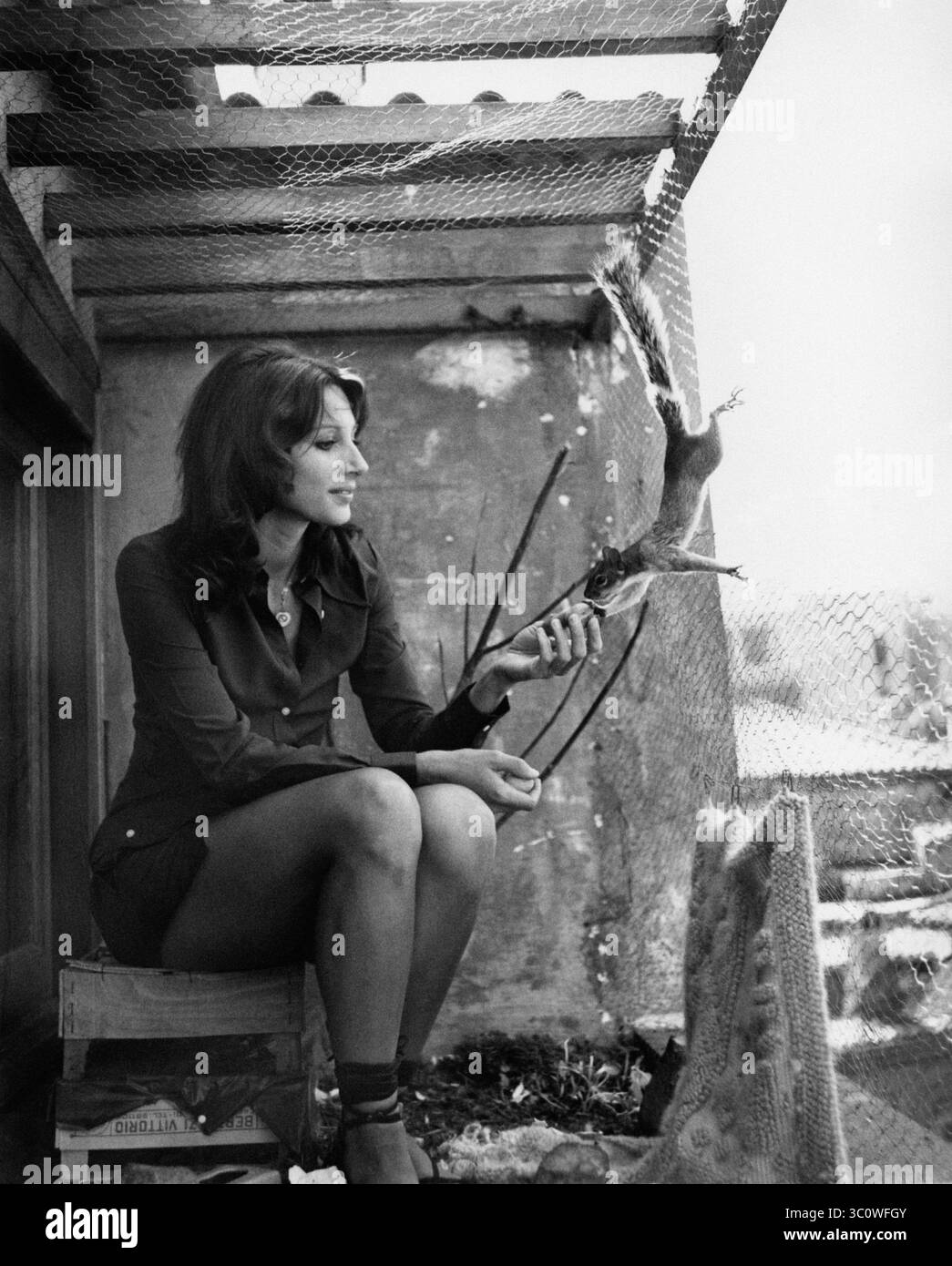 Italian actress Paola Pitagora (Paola Gargaloni) giving a nut to her ...