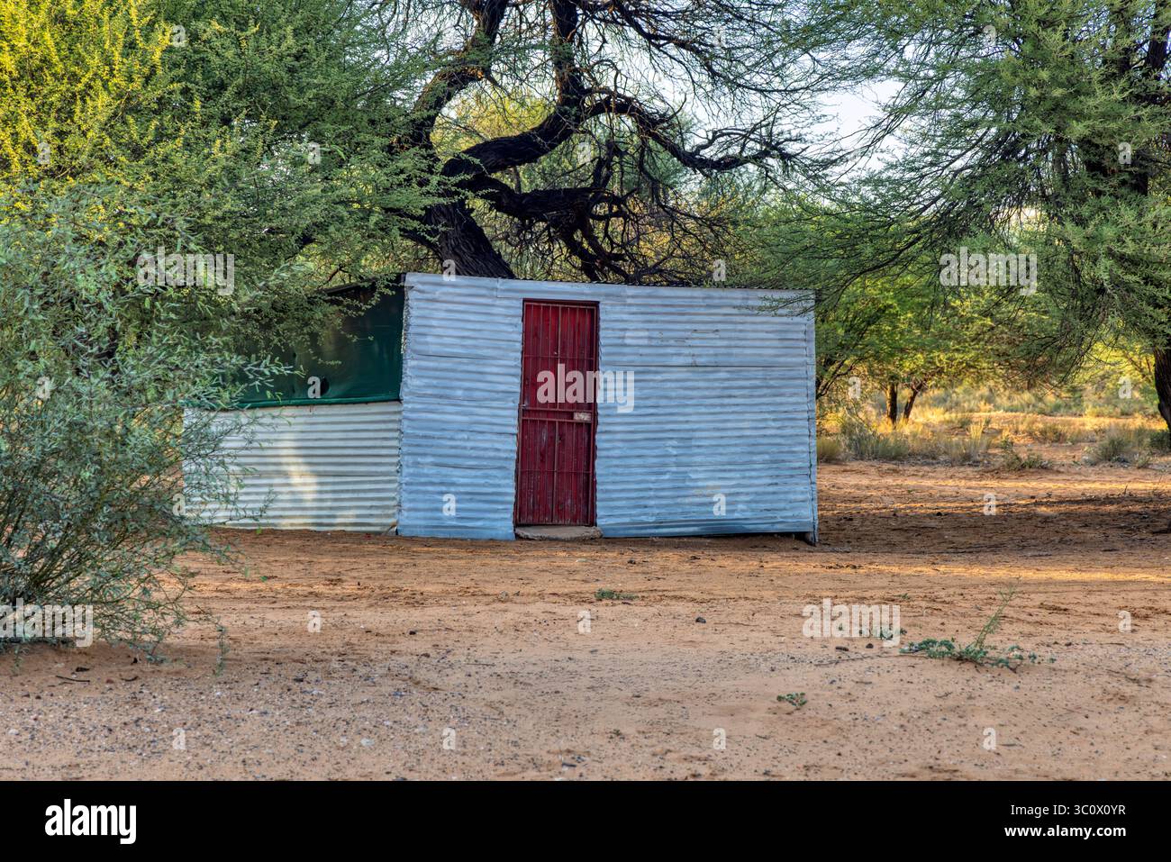 squatting shack informal settlement, shanty house in southern Africa ...