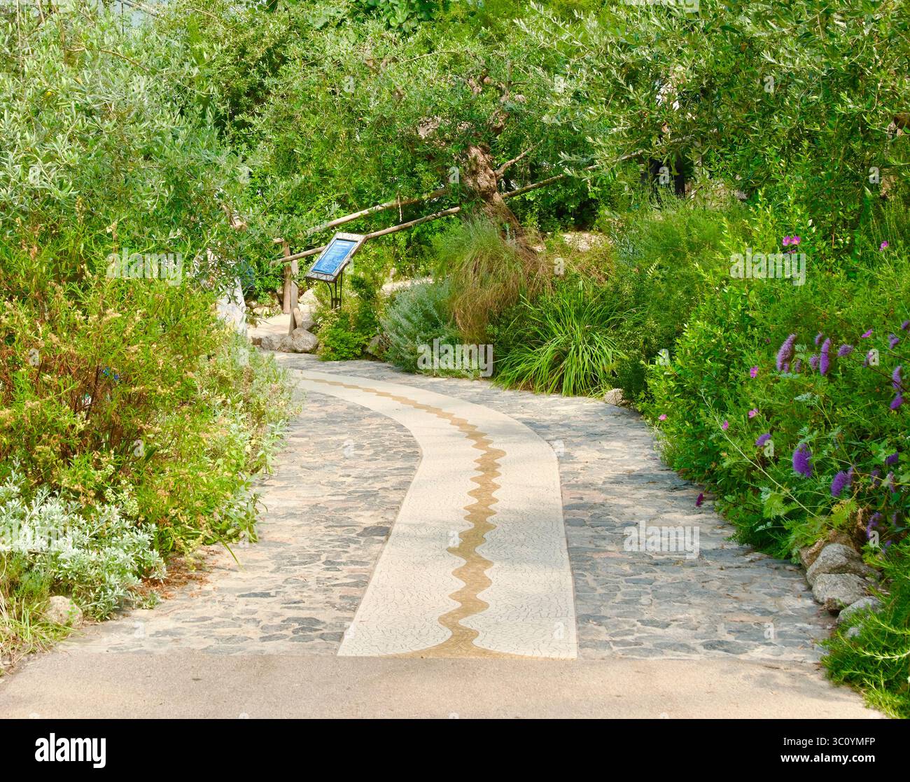 Liquid Gold mosaic walkway designed by Elaine Goodwin Mediterranean ...