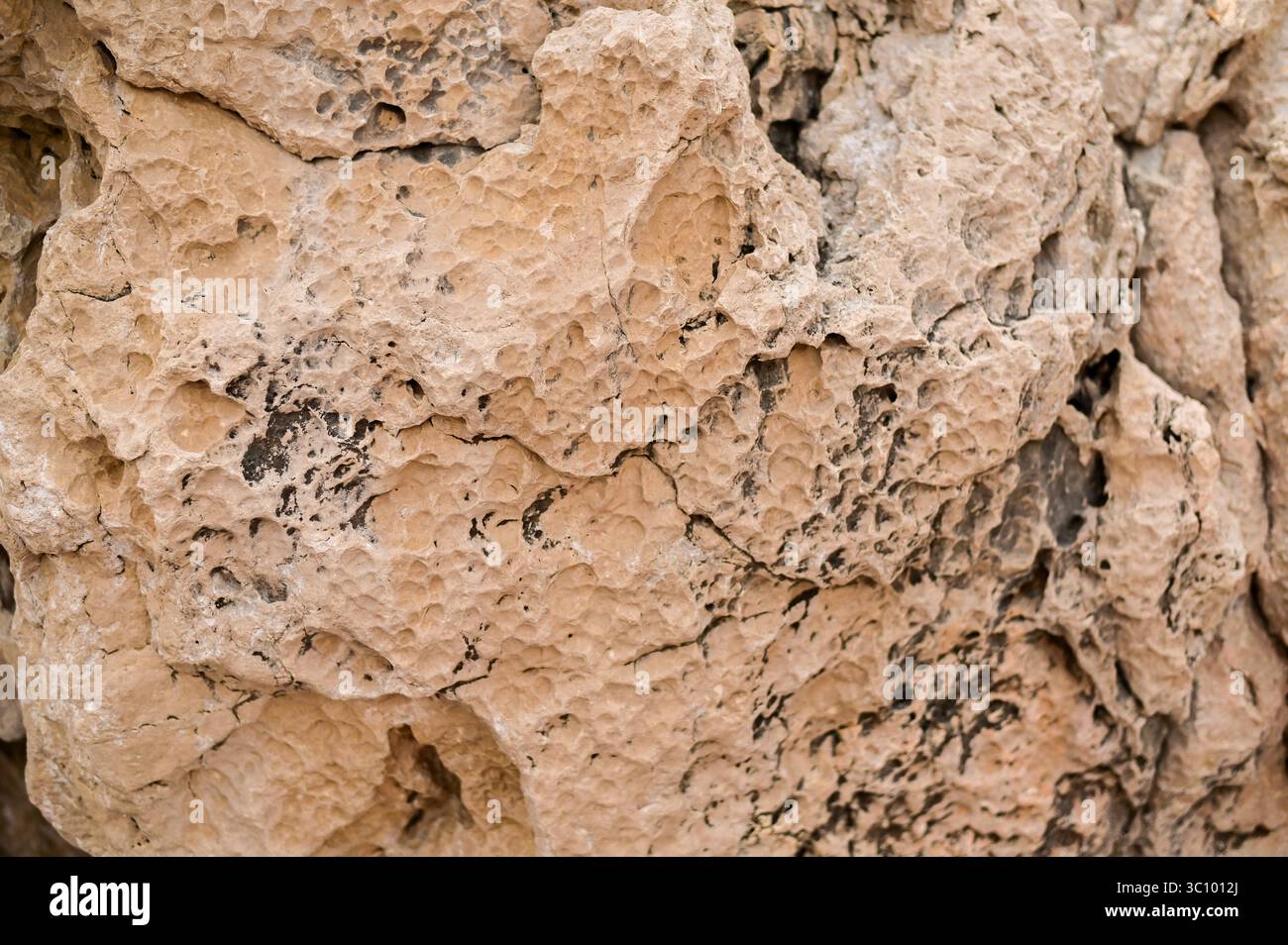 Cracks in a rock surface captured in high detail. Weathering and ...