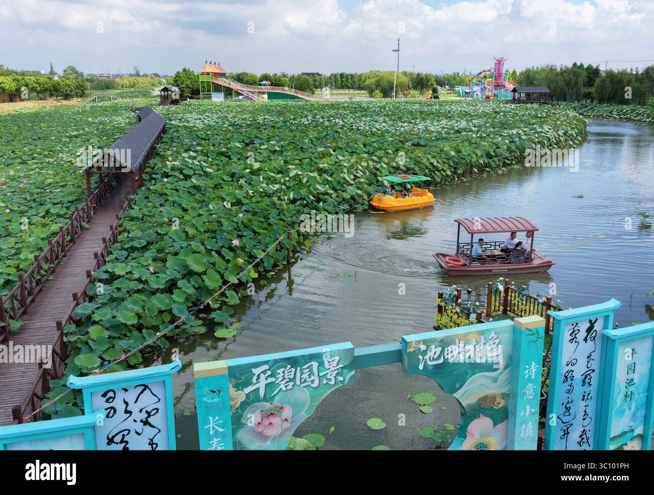 Tourists admire lotus flowers at a park in Rugao City, east China's ...