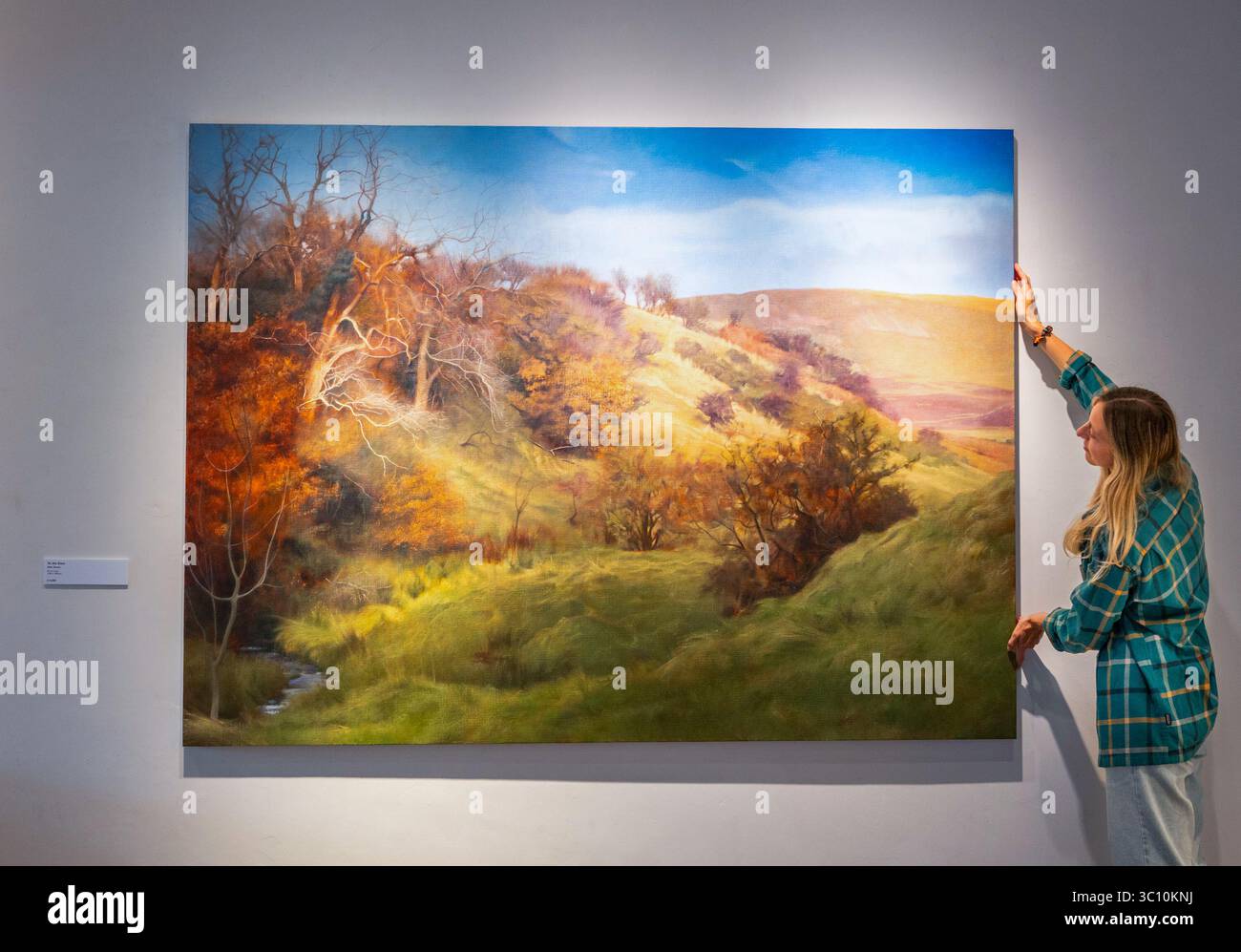 Heaton Cooper Studio, UK. 22nd July, 2025. Heaton Cooper STUDIO ...