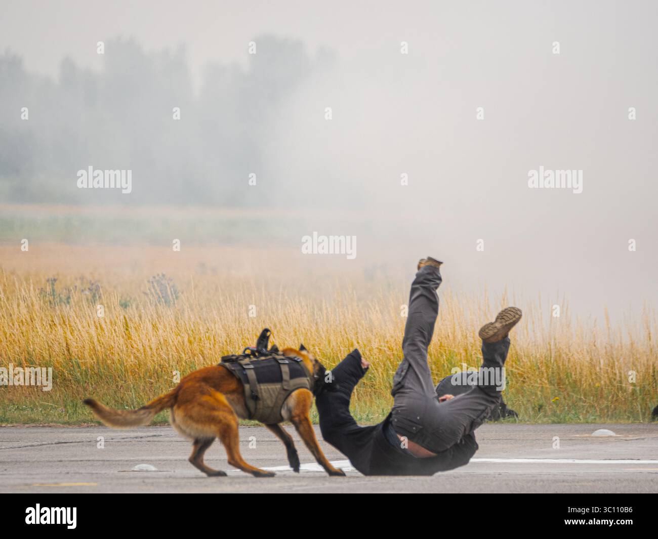 Belgian police anti-terror unit during tactical training. Officers in ...