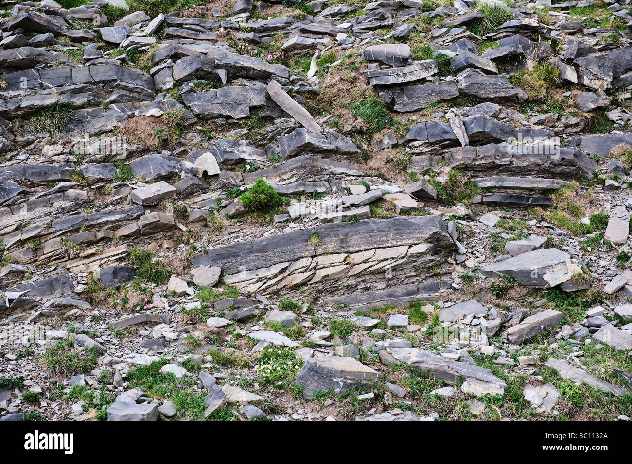 Stratified Rock Layers Showing Earth's Geological History Stock Photo ...