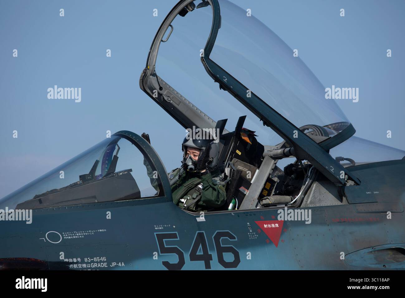 A pilot with the Japan Air Self-Defense Force 8th Tactical Fighter ...