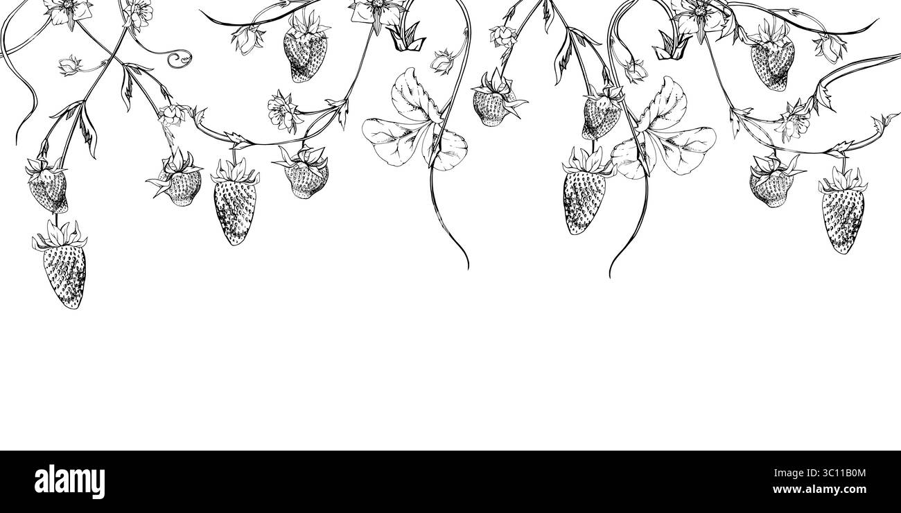 Strawberry berries leaves flowers hanging bunch, vines tendrils ...